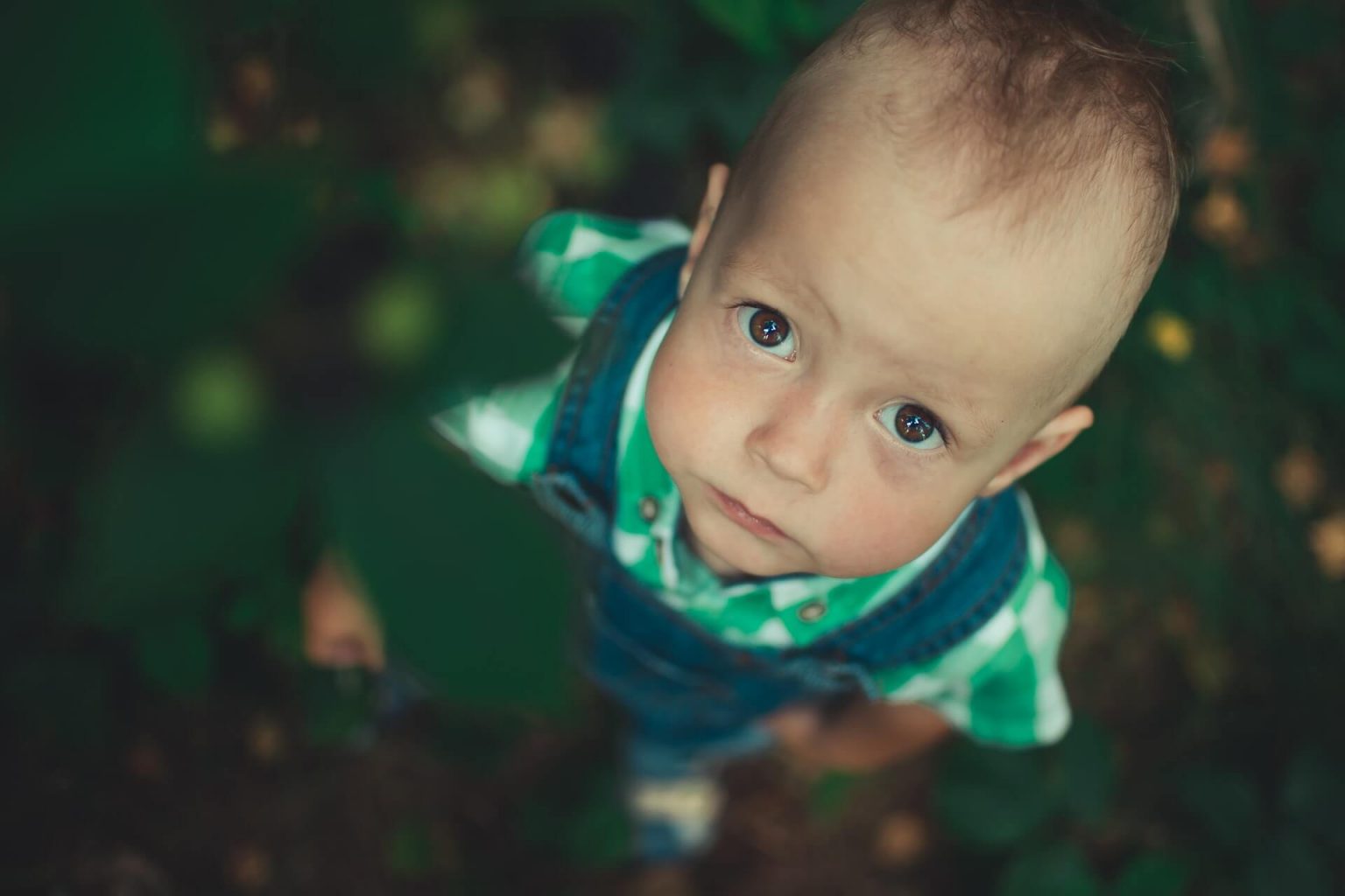 ¿Qué es la asimilación según Piaget? Definición con ejemplos